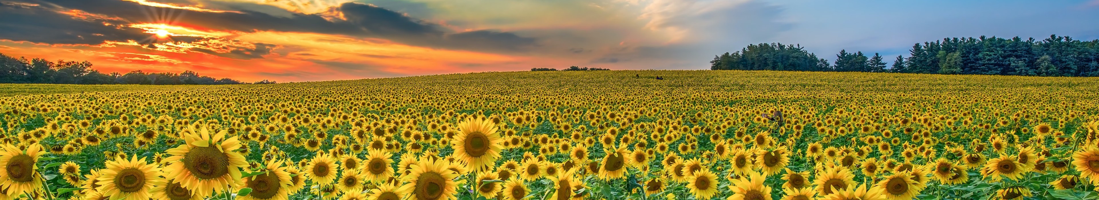 Naslovnica | Croatia Airlines